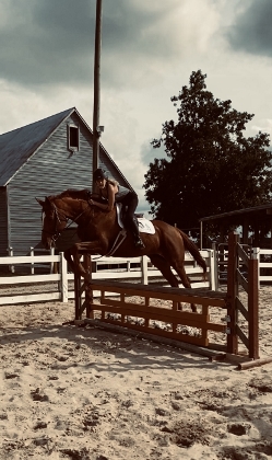 Secret Pride Stables LLC